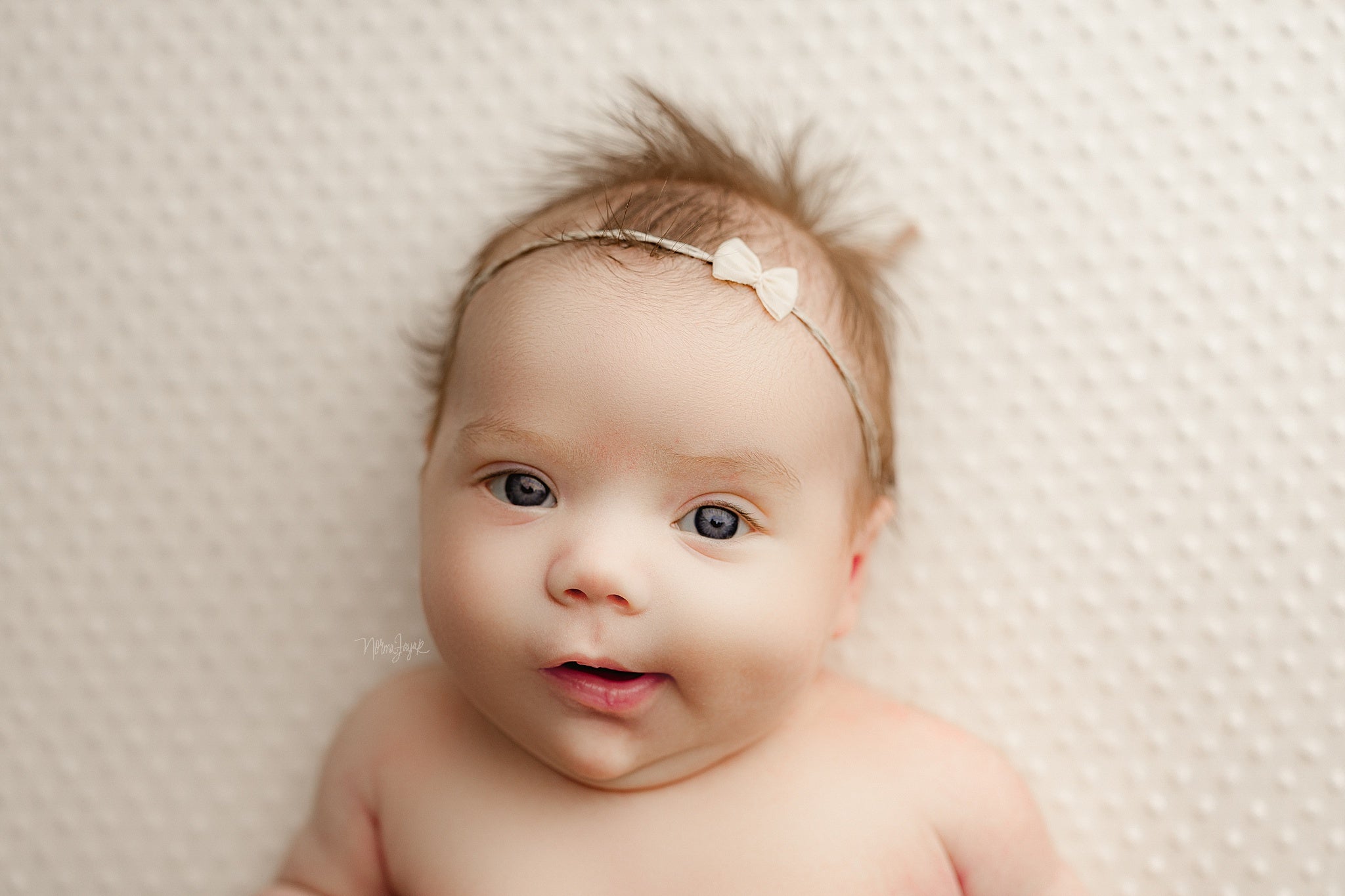 Newborn Photography Backdrops and Props – Freebird Prop Shoppe